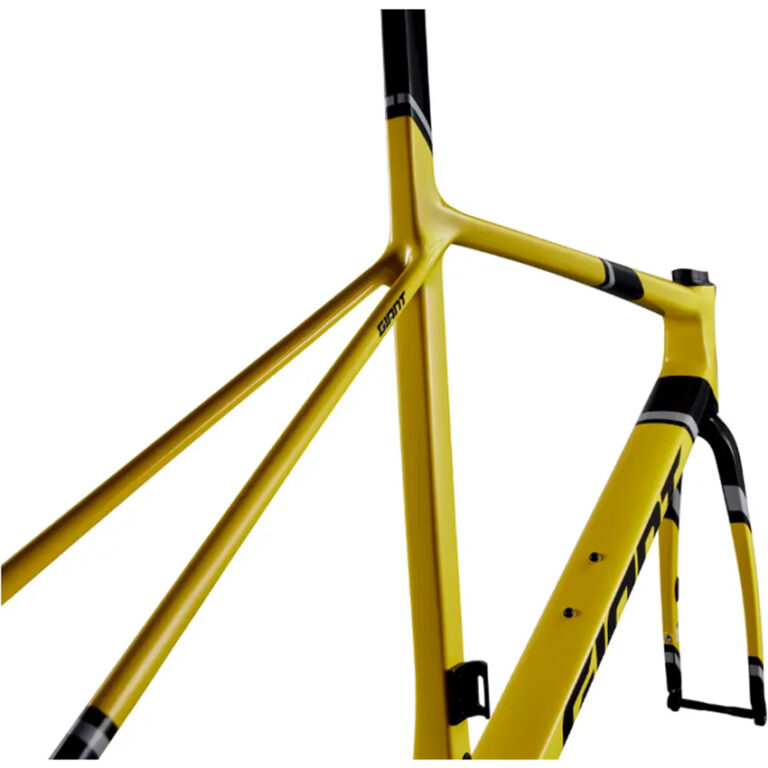 Khung Sườn Xe Đạp GIANT TCR Advanced SL Frame And Fork – Xe đạp Giant ...